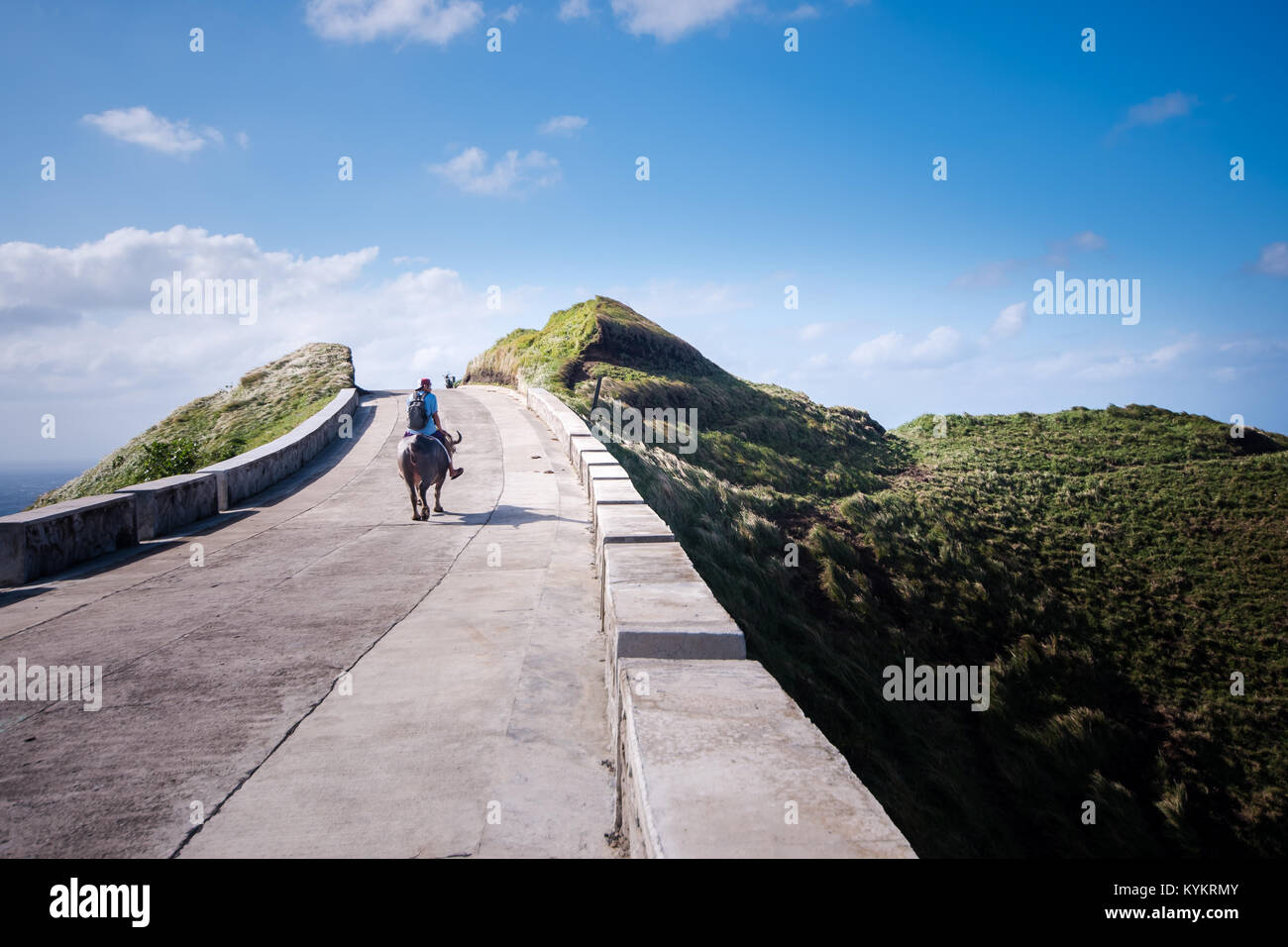 Kalabaw hi-res stock photography and images - Alamy