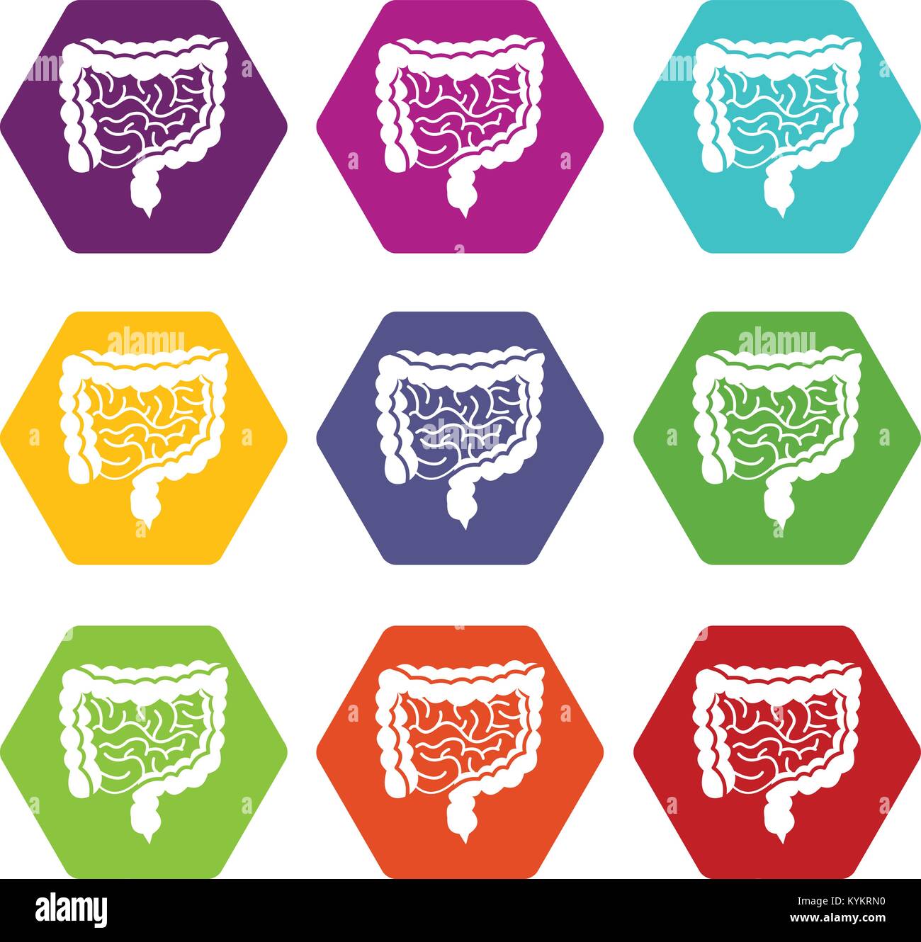 Intestines icon set color hexahedron Stock Vector Image & Art - Alamy