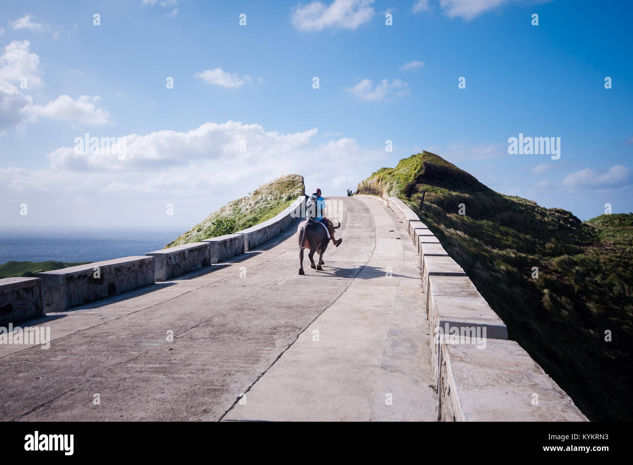 Kalabaw hi-res stock photography and images - Alamy