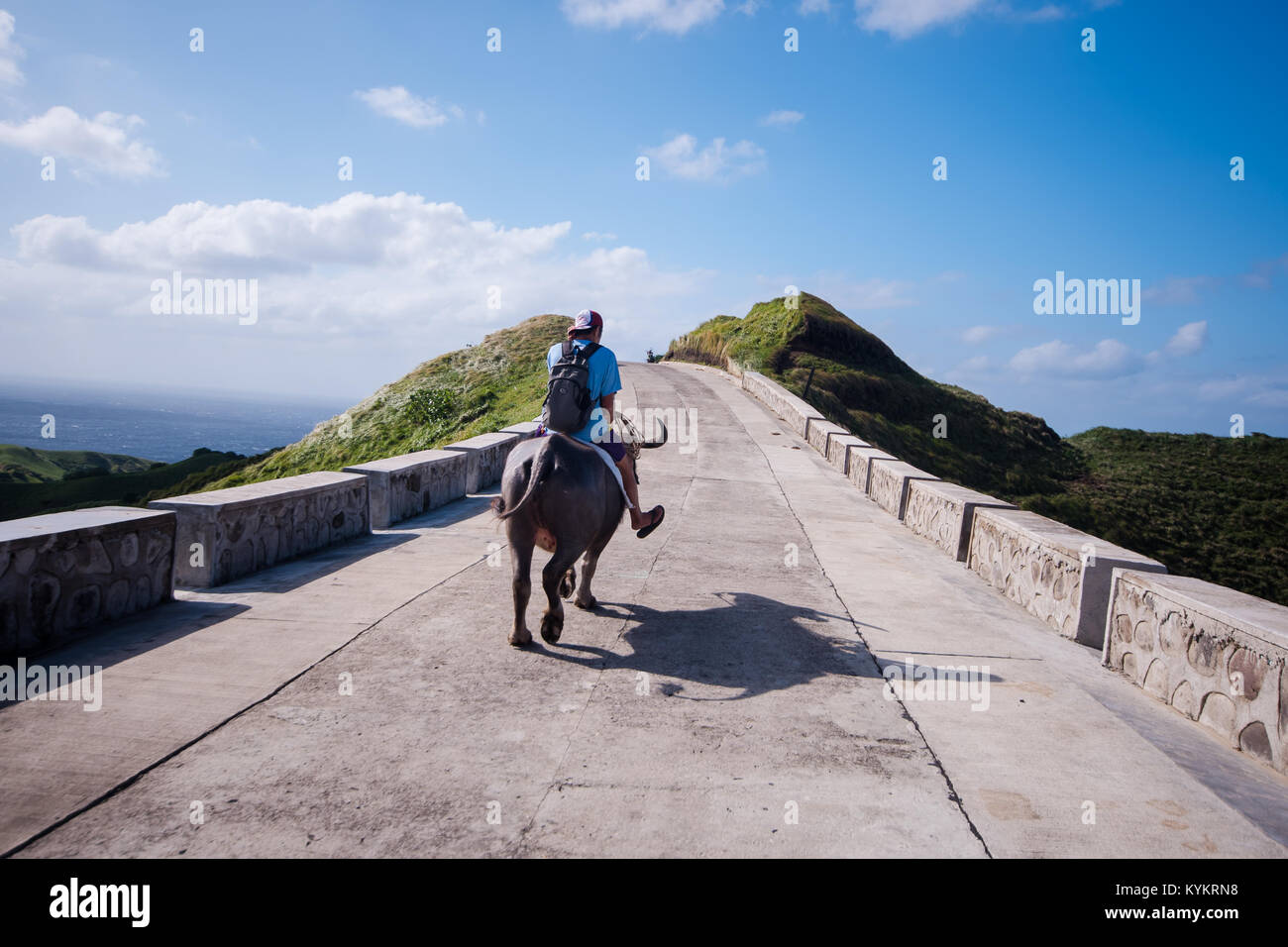 Kalabaw hi-res stock photography and images - Alamy