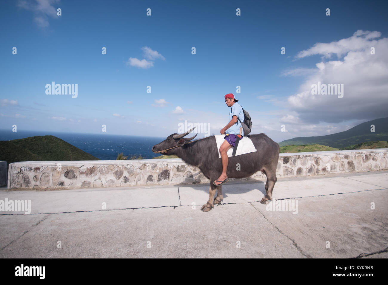 Kalabaw hi-res stock photography and images - Alamy