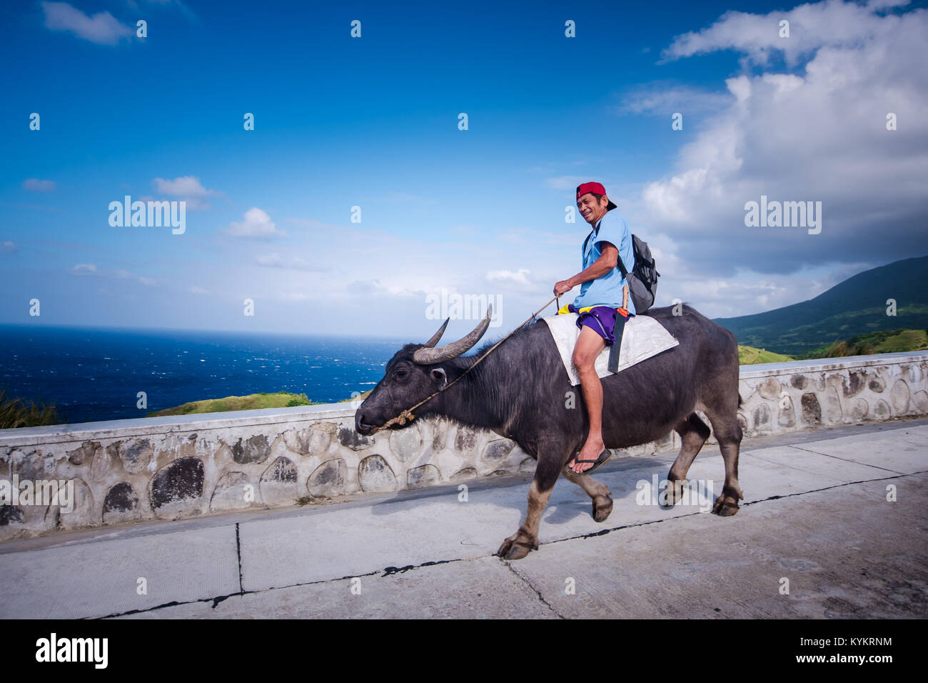 Farmer riding his Carabao at the hills of Batanes, Philippines Stock ...
