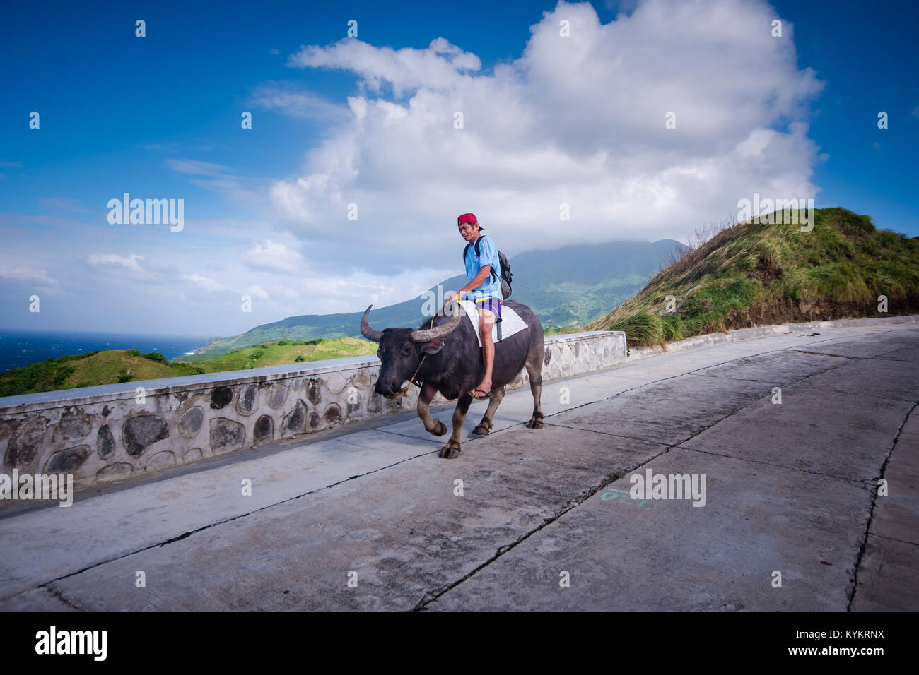 Kalabaw hi-res stock photography and images - Alamy