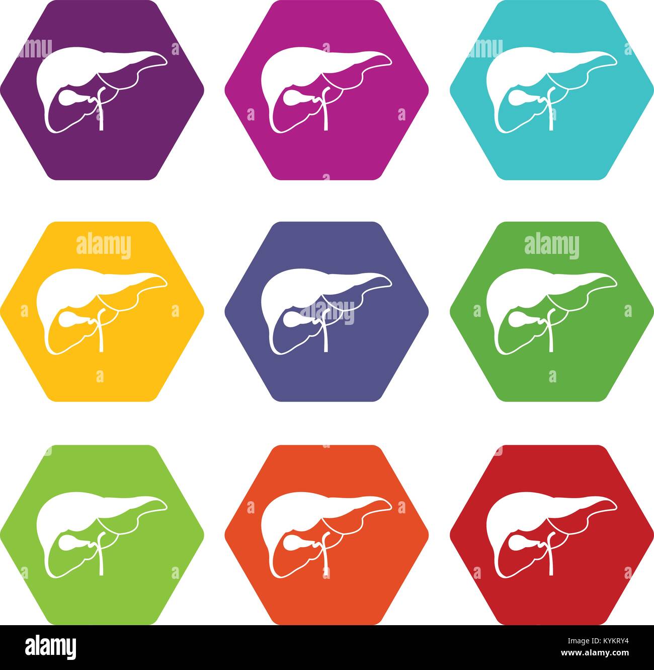 Glycogen color Stock Vector Images - Alamy