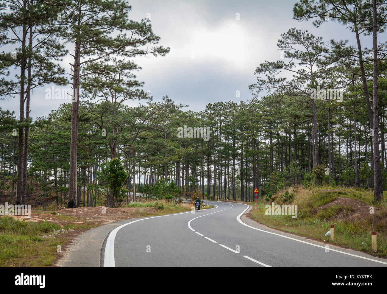 A motorbike running on mountain road with pine trees in Dalat, Vietnam ...