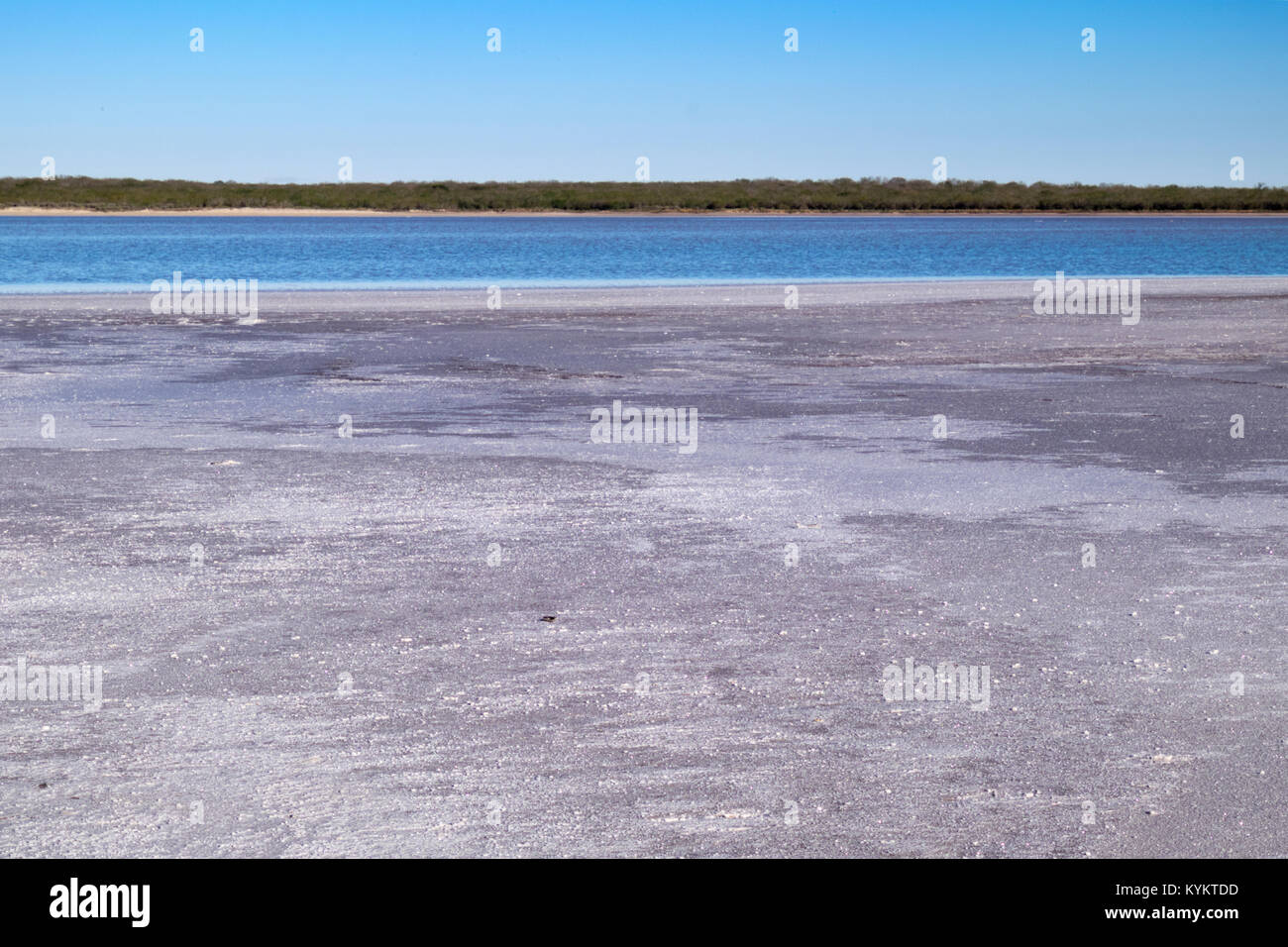 Thornscrub forest hi-res stock photography and images - Alamy
