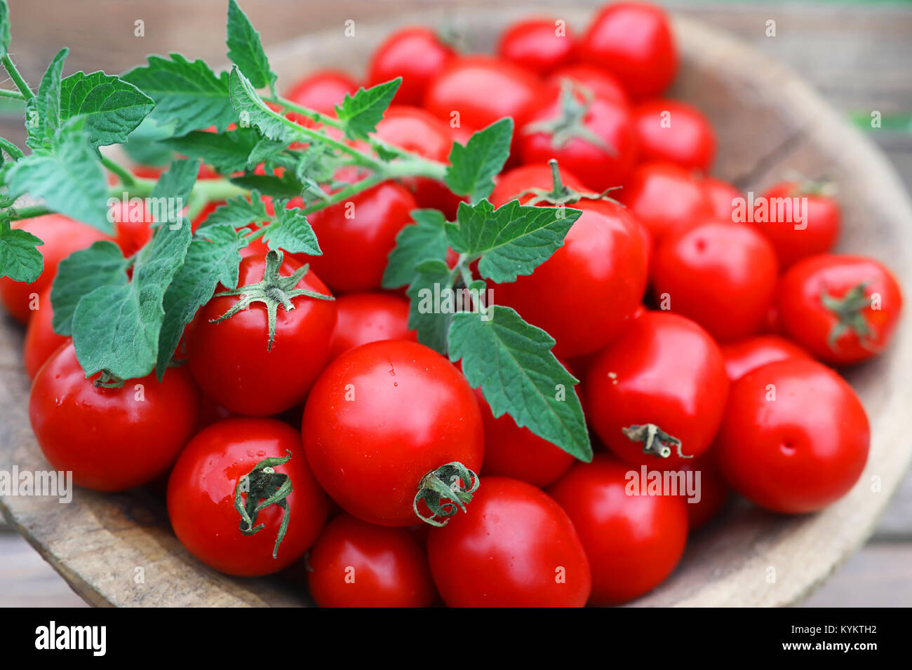 Fresh tomato crop in a wooden bowl Stock Photo - Alamy
