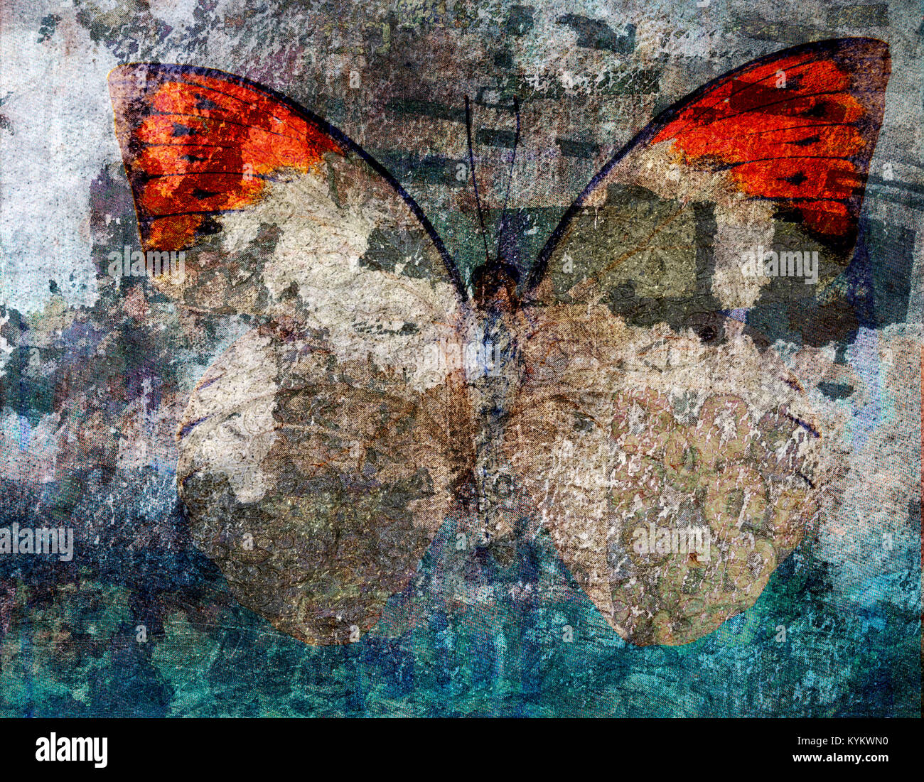 grunge butterfly background texture Stock Photo - Alamy