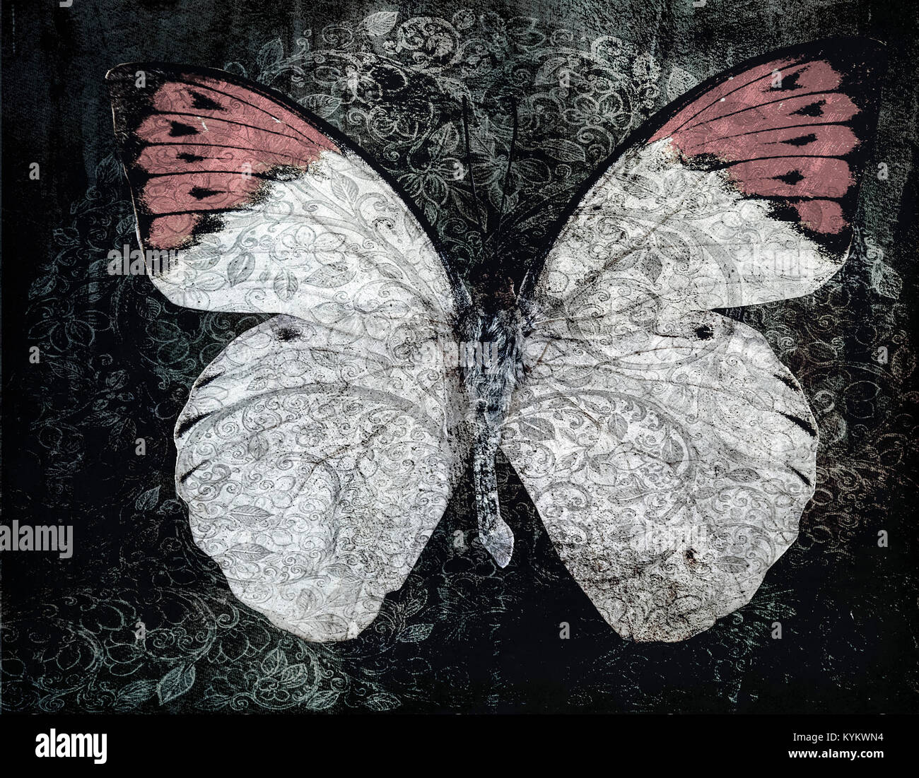 grunge butterfly background texture Stock Photo - Alamy