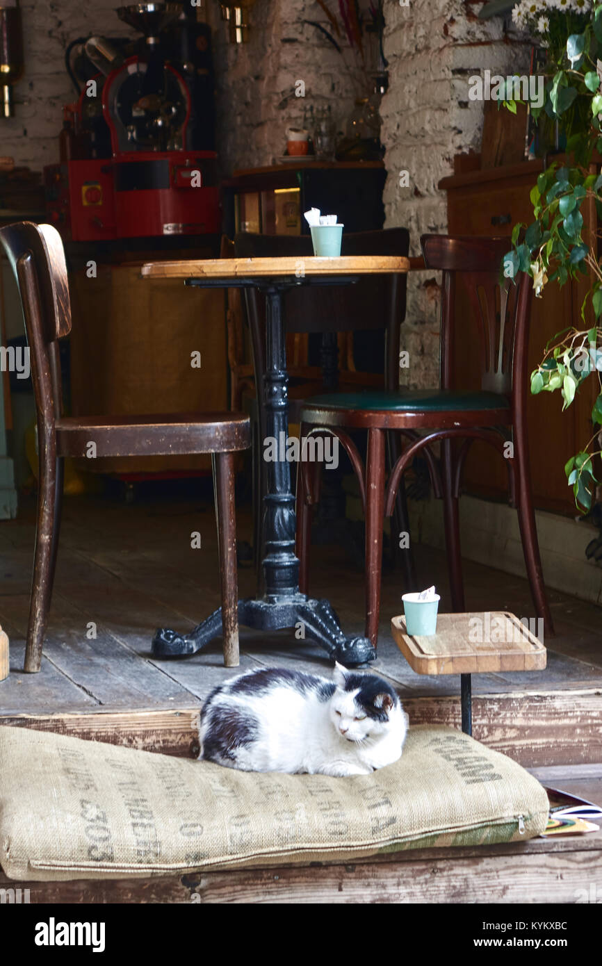 Turkish street cafe in Istanbul Stock Photo - Alamy
