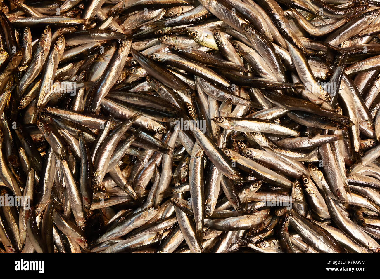 Freah fish in the store Stock Photo - Alamy