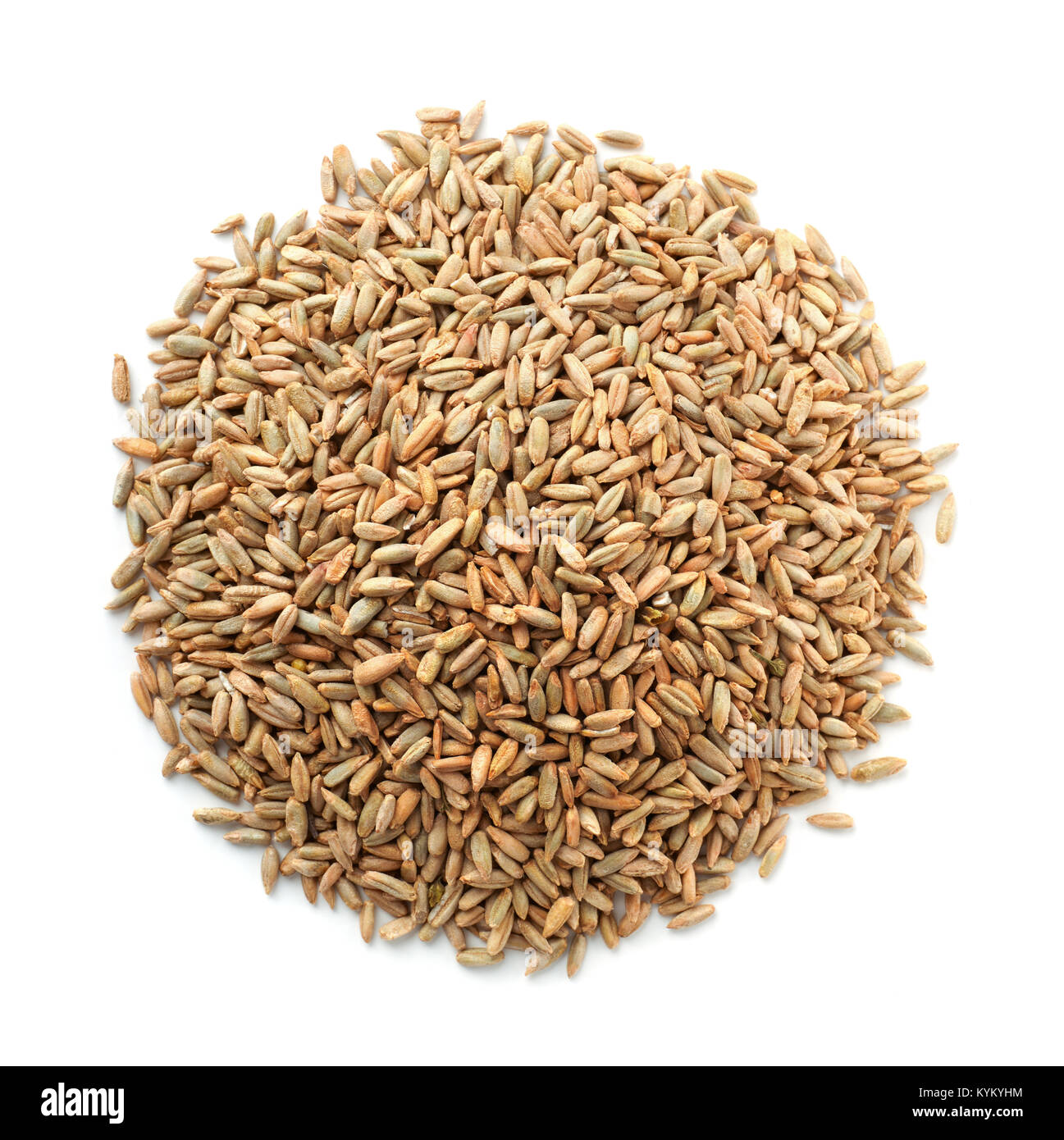 Top view of rye grains pile isolated on white Stock Photo - Alamy