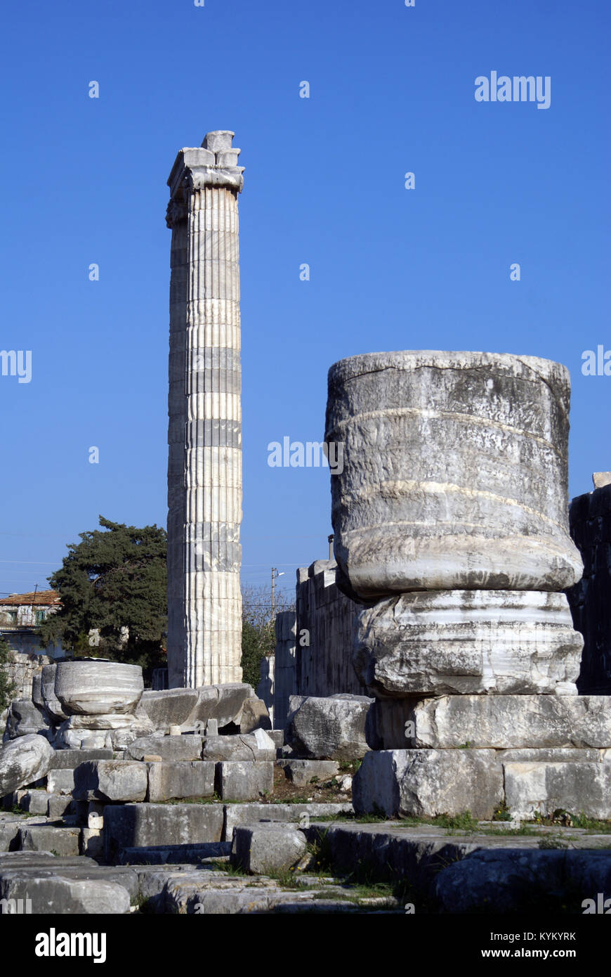 Columns of Apollo temple in Didim, Turkey Stock Photo - Alamy