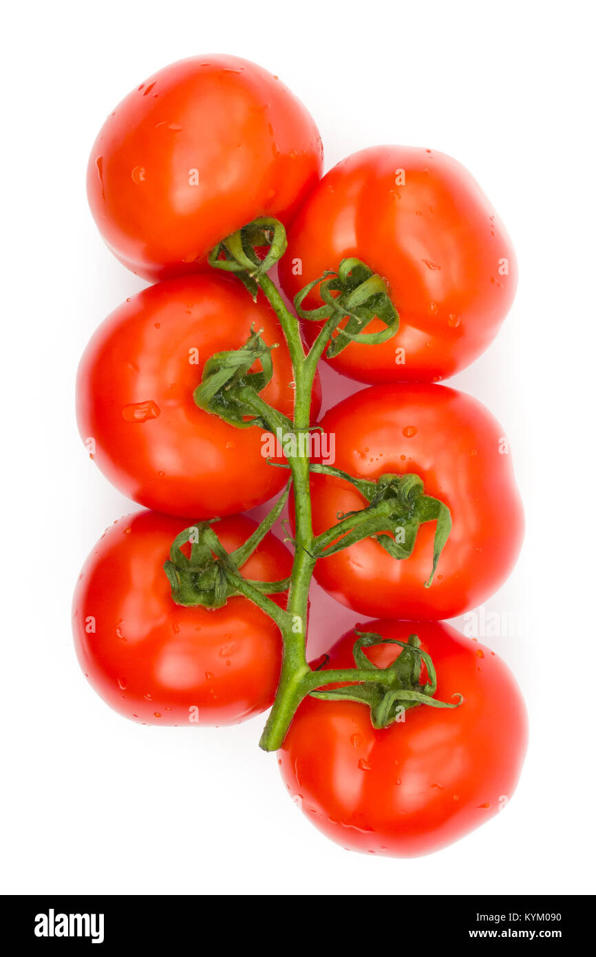 Tomatoes on the vine isolated on white, overhead view Stock Photo - Alamy