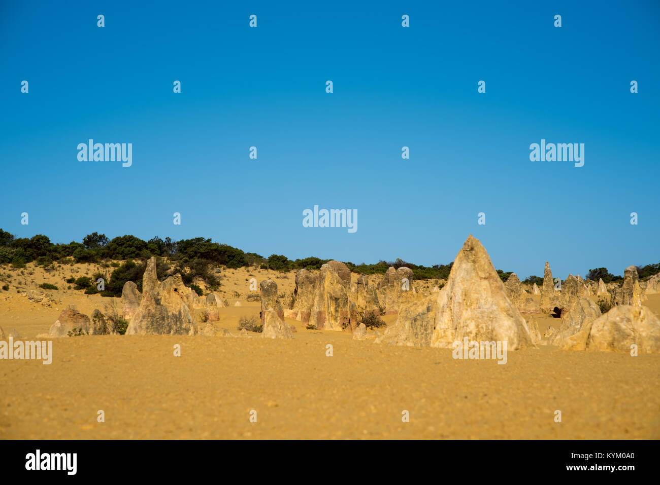 LANCELIN, Australia, WA / Western Australia - 2017 December 19, The ...