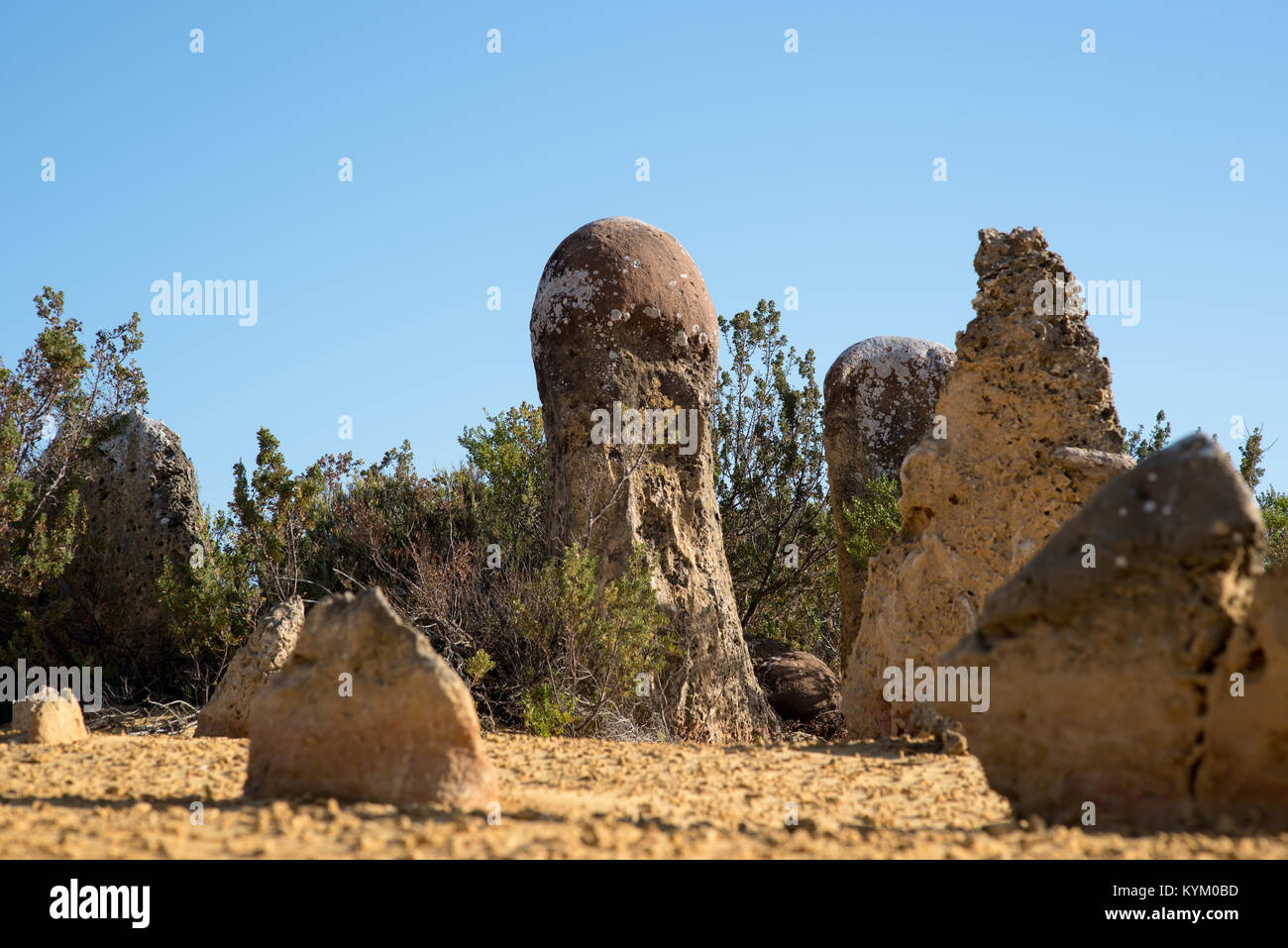LANCELIN, Australia, WA / Western Australia - 2017 December 19, The ...