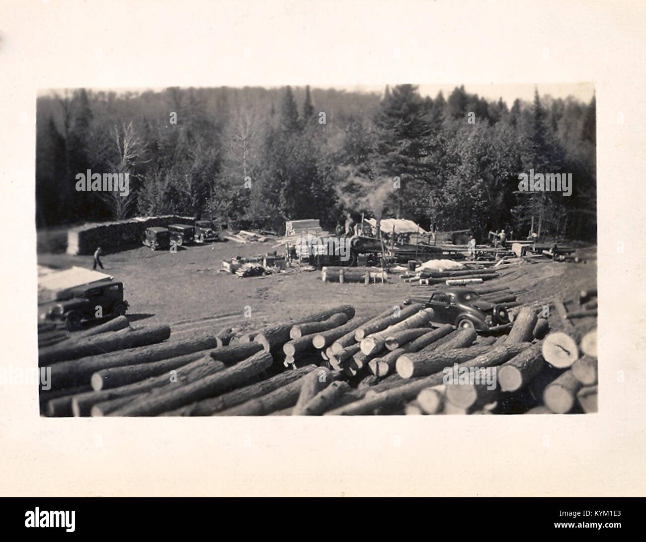 Timber history hi-res stock photography and images - Alamy