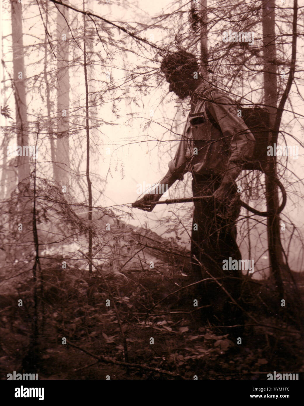 Photograph of a forest firefighter equipped with gear during a forest ...