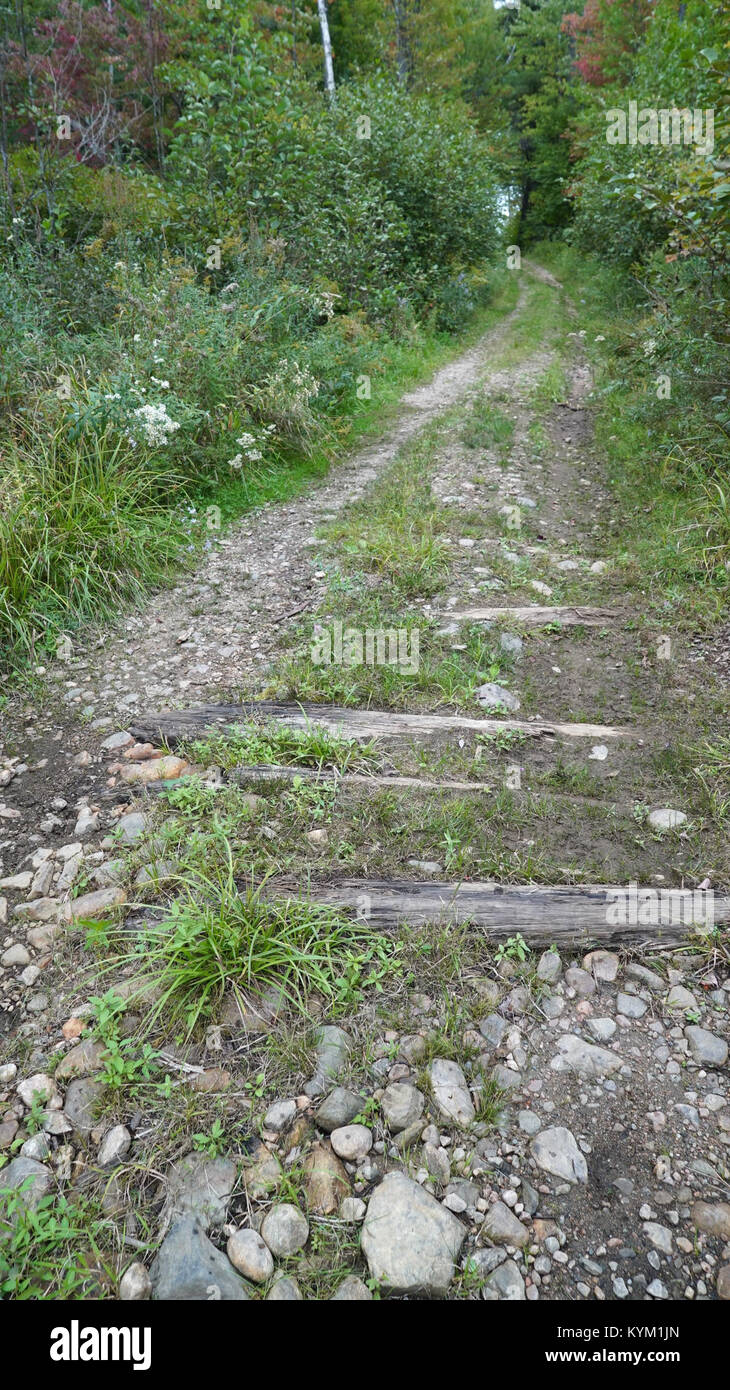 An illustration of Addington Colonization Road, commonly known as ...
