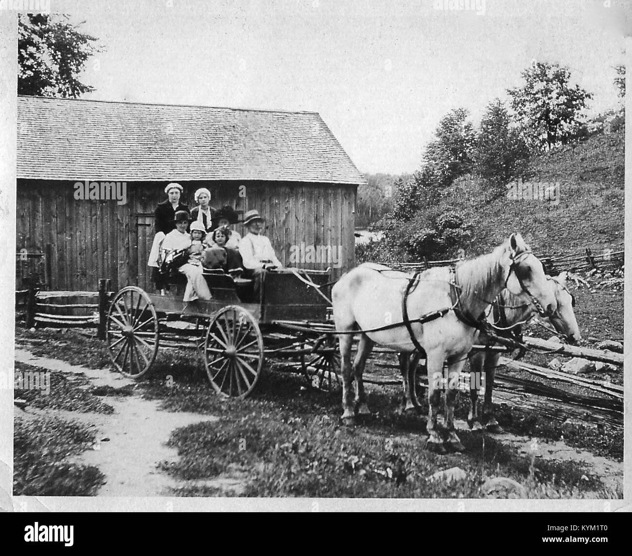 Democrat wagon hi-res stock photography and images - Alamy