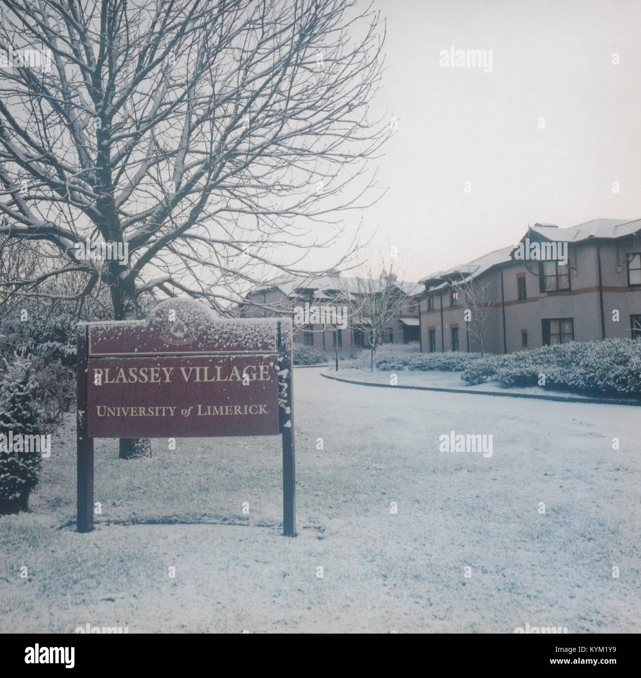 A photograph of the University of Limerick campus covered in snow ...
