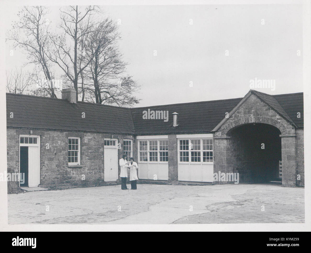 A photograph of a stable and courtyard scene, with two students from ...