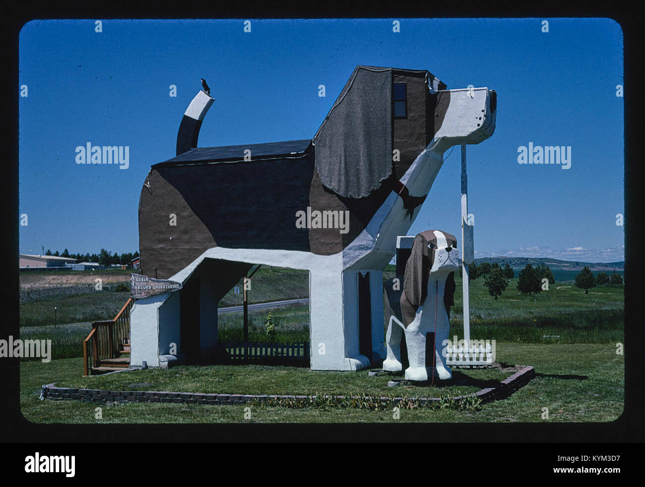 A front view of Dog Bark Park, located on Route 95 in Cottonwood, Idaho ...