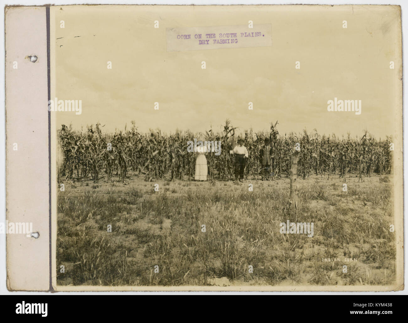 A photograph of Indian corn, symbolizing agricultural practices and ...