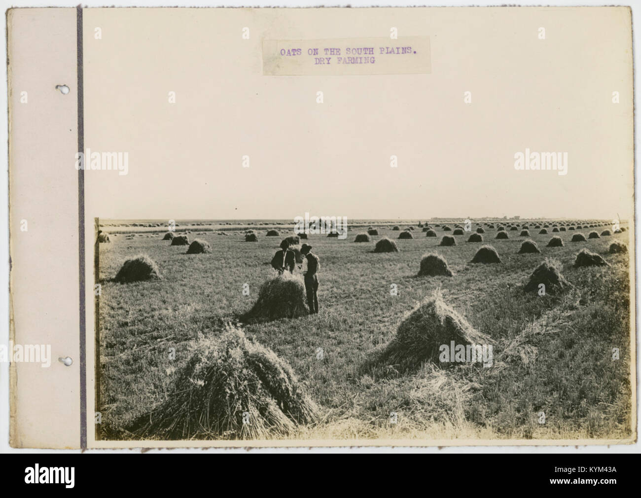 O farming hi-res stock photography and images - Alamy