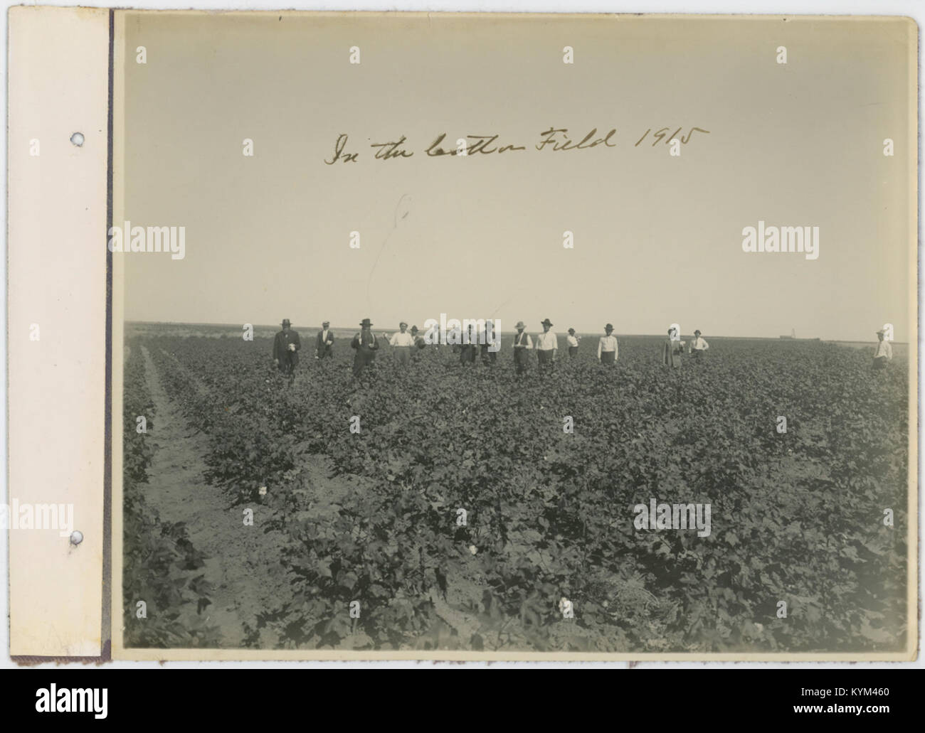 This image, titled 'In The Bottom Field,' from 1915, captures a rural ...