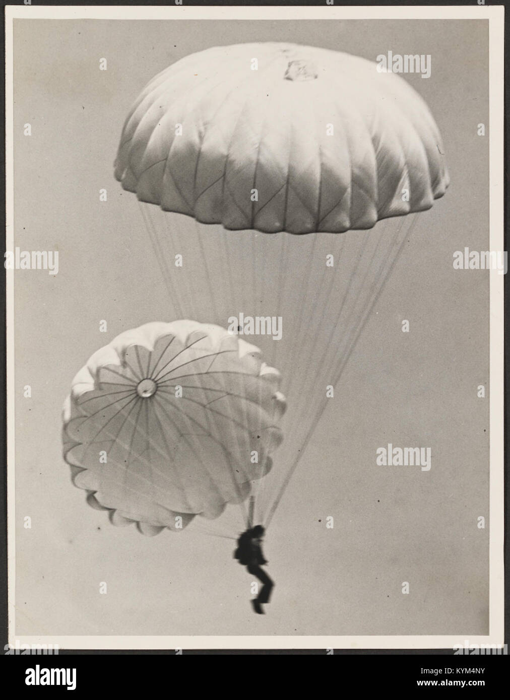 A historic image showing two parachutists during a parachute descent ...