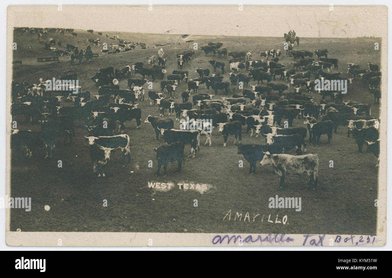 A historical photograph of West Texas, showcasing the landscape of this ...