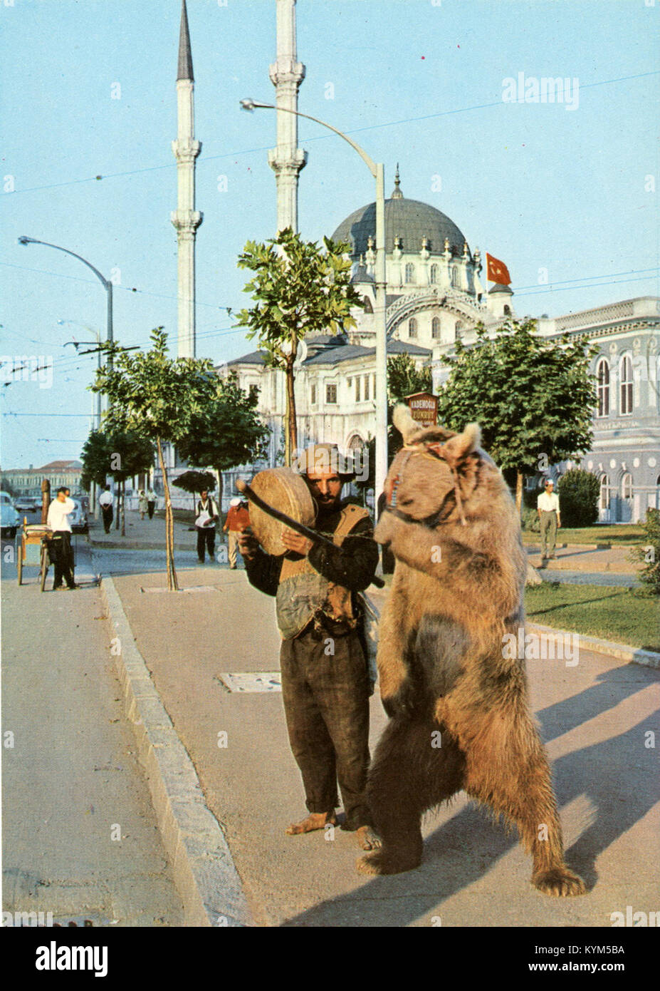 A photograph of a bear leader in Istanbul, showcasing a traditional ...