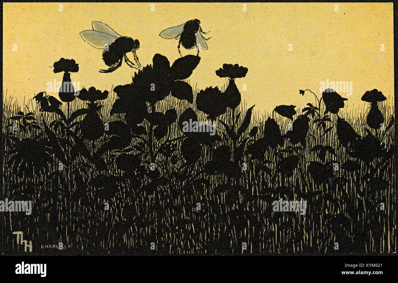 A summer-themed illustration by Thorolf Holmboe, featuring bumblebees ...