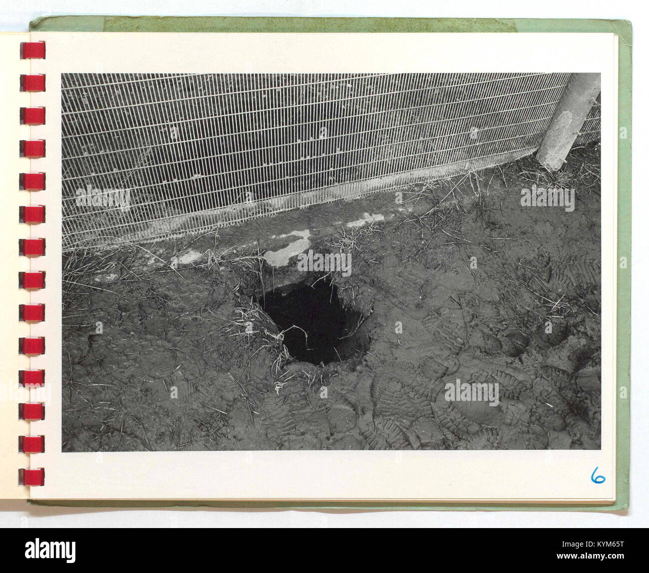 An illustration depicting the escape from HM Prison Maze in 1974 ...