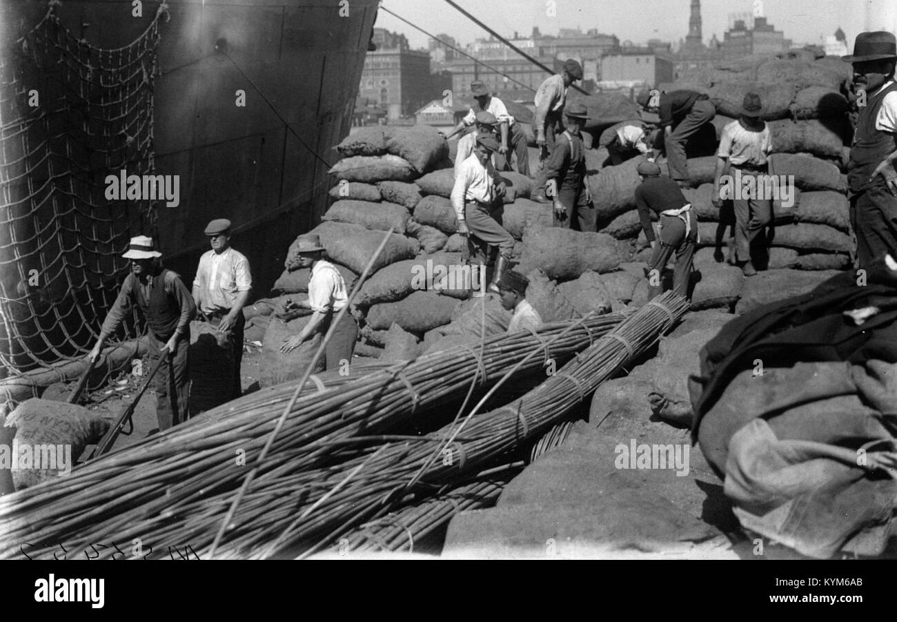 A photograph from the Big Strike in Sydney, showing free labourers ...