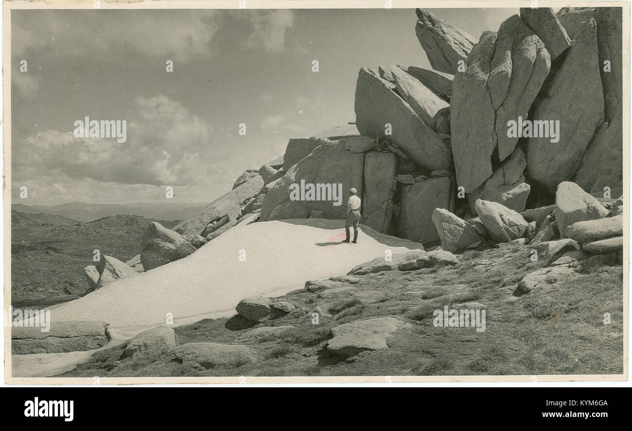 A photograph of glacial rocks near Mount Townsend, located in Mount ...