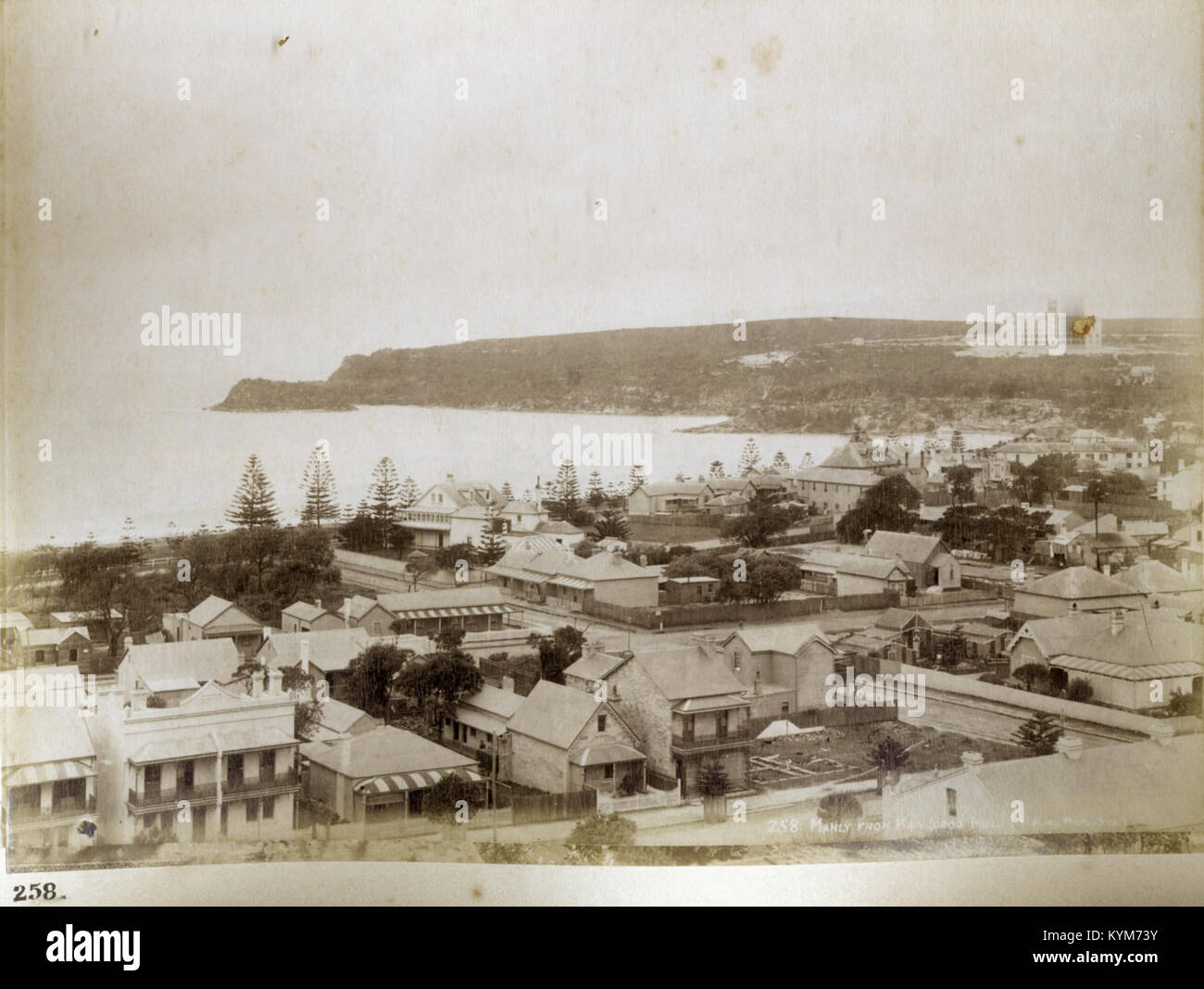 Aerial view of Manly, Sydney, taken from Kangaroo Hill, offering a ...