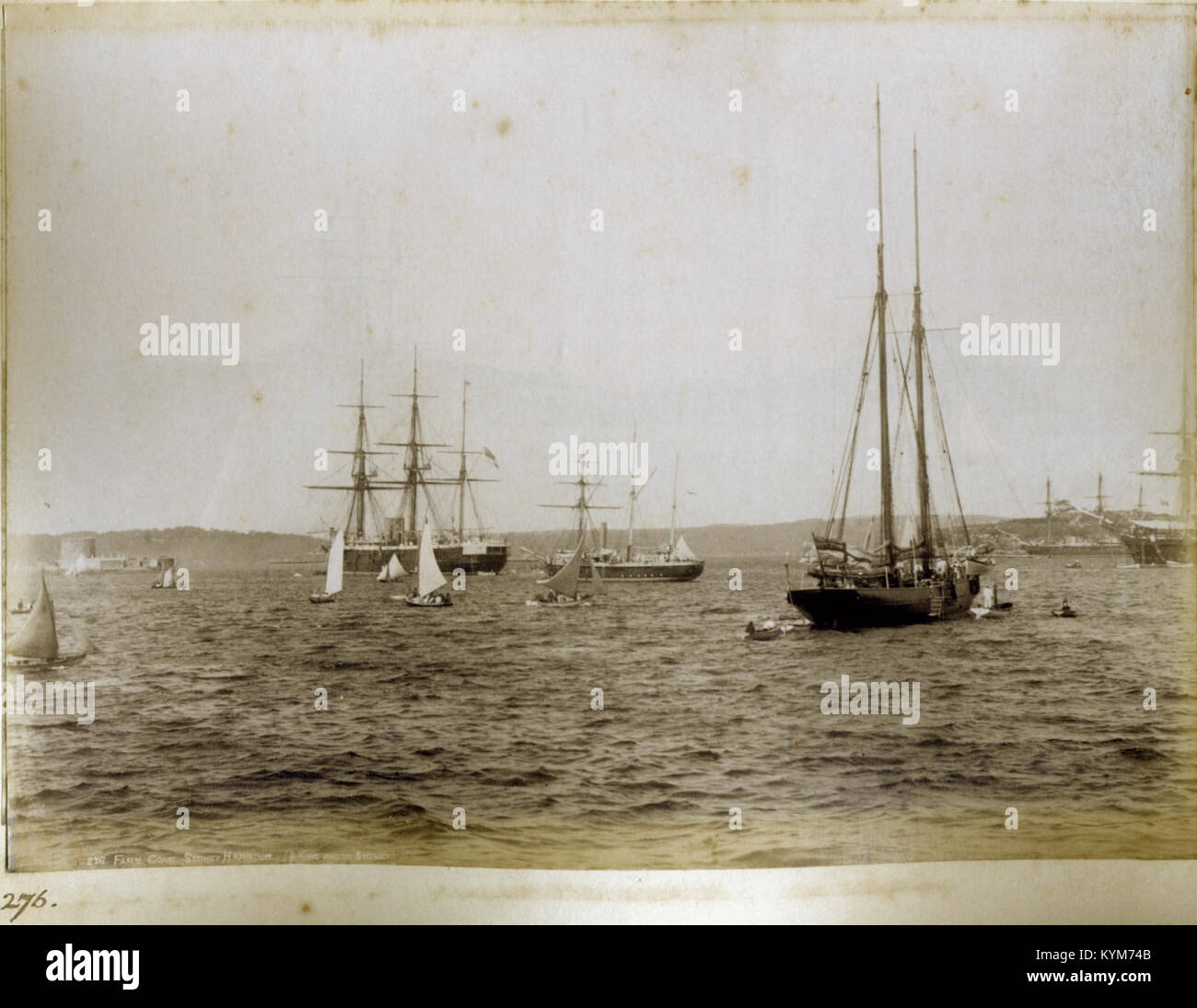 Photograph of Farm Cove in Sydney Harbour, showcasing the landscape ...