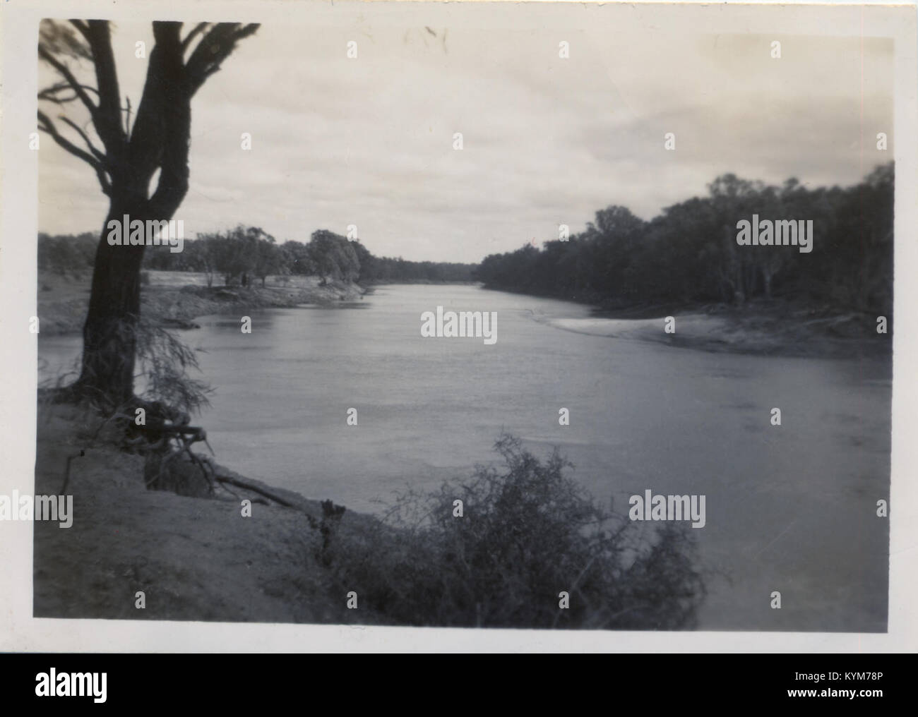 A photograph of the Murray River at Boundary Bend, Victoria, taken in ...