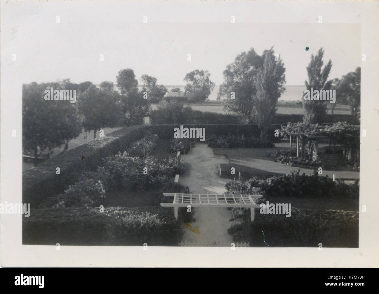 A view from the balcony of the Barmera Hotel, showcasing the gardens ...