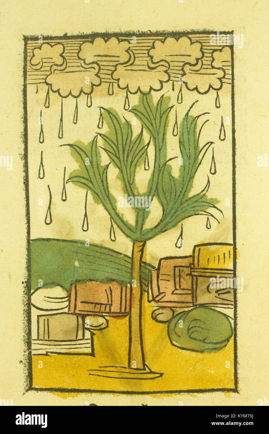 A photograph of the concept or item 'Manna', showcasing its ...