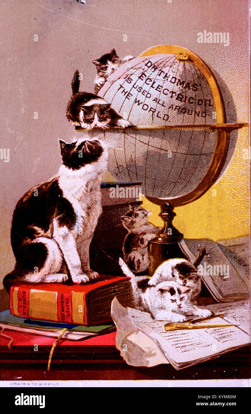This advertisement showcases Dr. Thomas' Eclectric Oil, highlighting ...