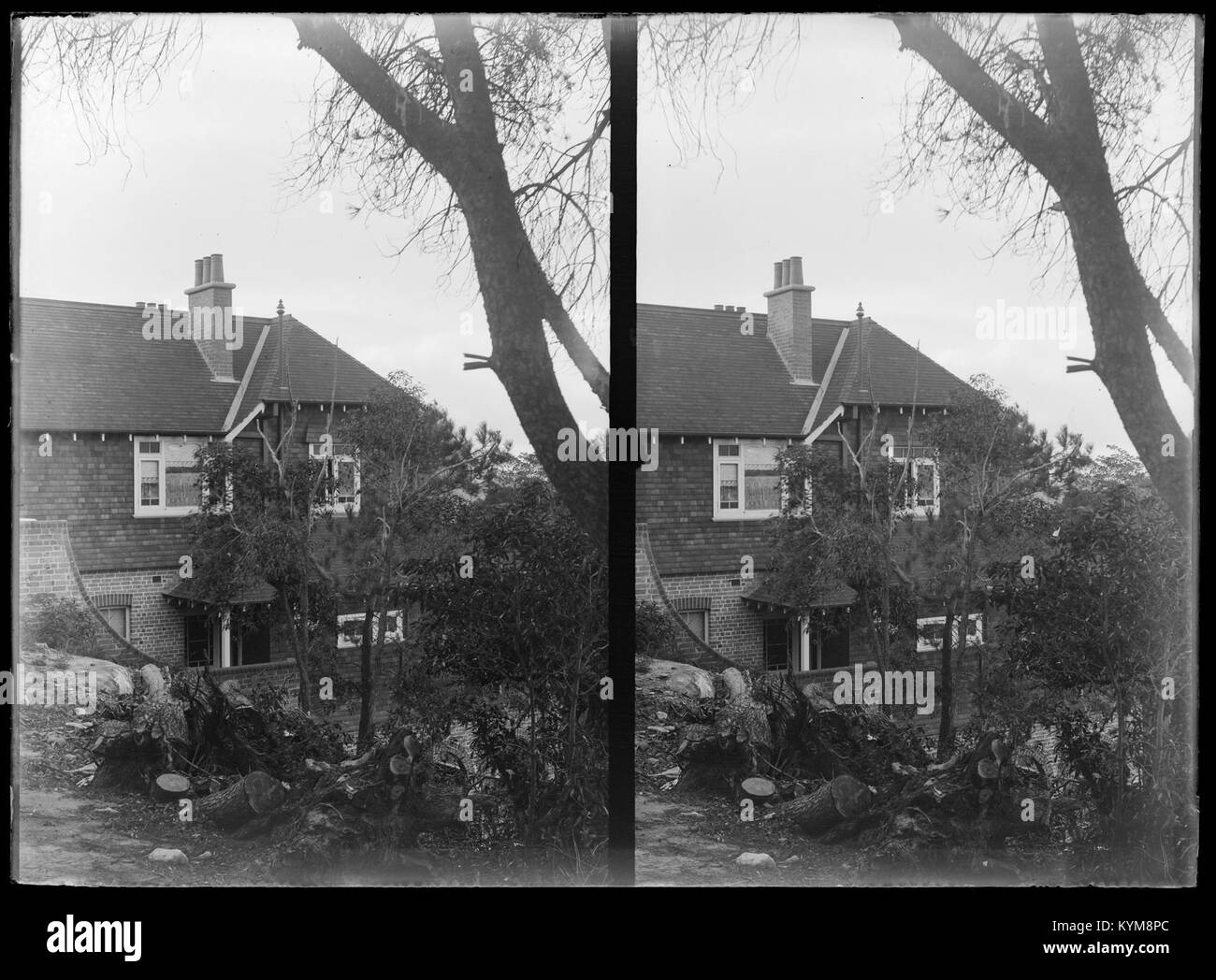 A set of views of New Zealand captured by William Joseph Macpherson ...