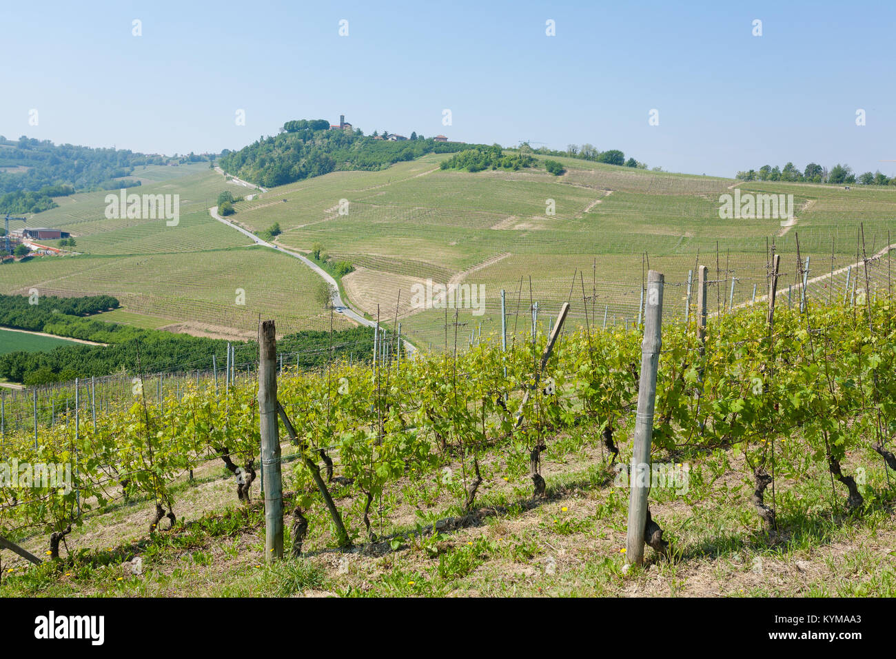 Beautiful Italian landscape. Vineyards from Langhe region,Italy ...