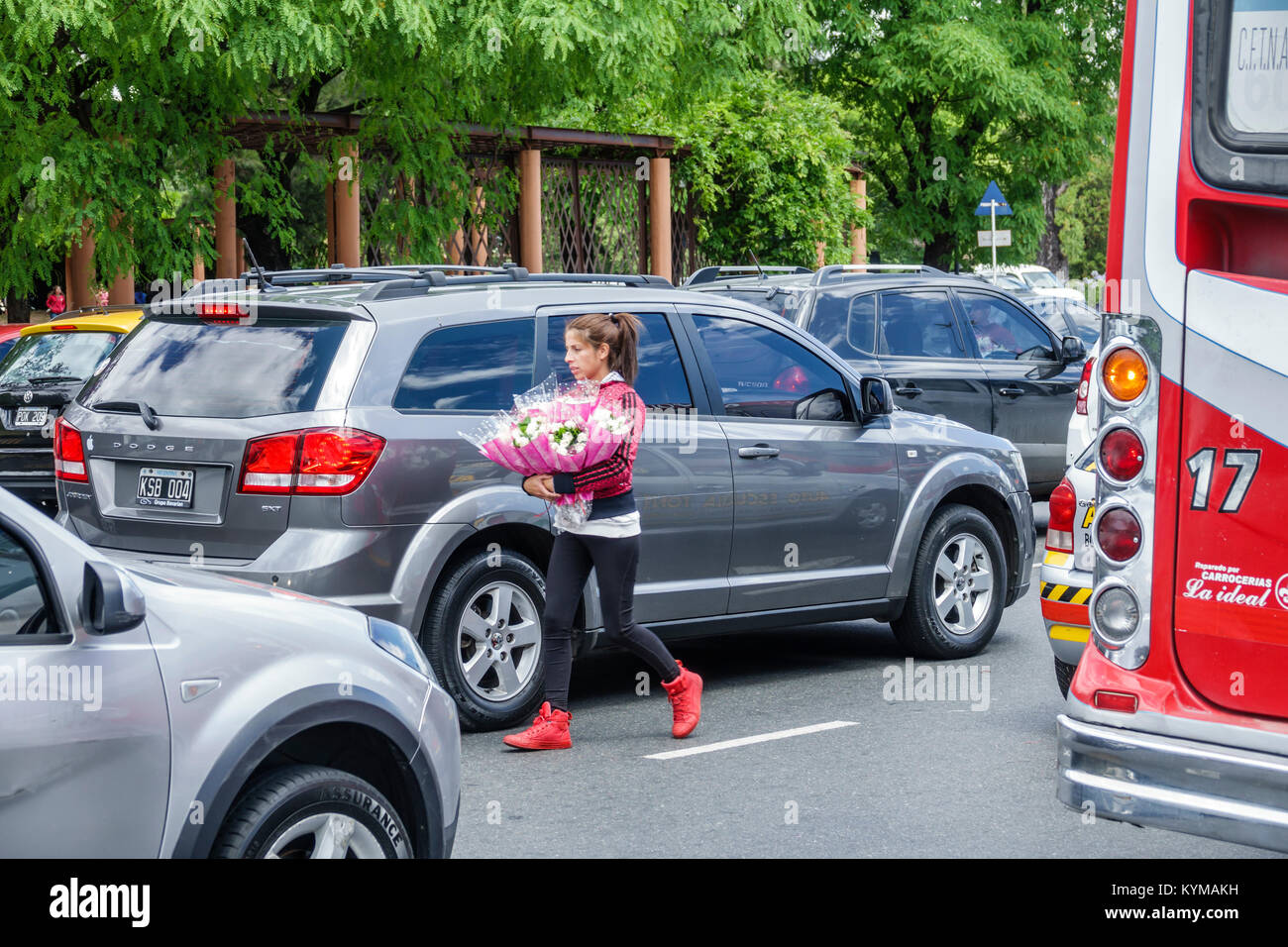 Buenos Aires Argentina,Palermo,Avenida Sarmiento,traffic,car cars ...