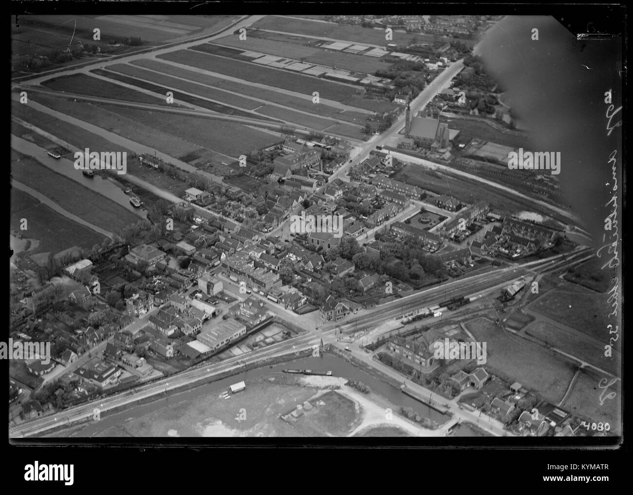 International bird Black and White Stock Photos & Images - Alamy