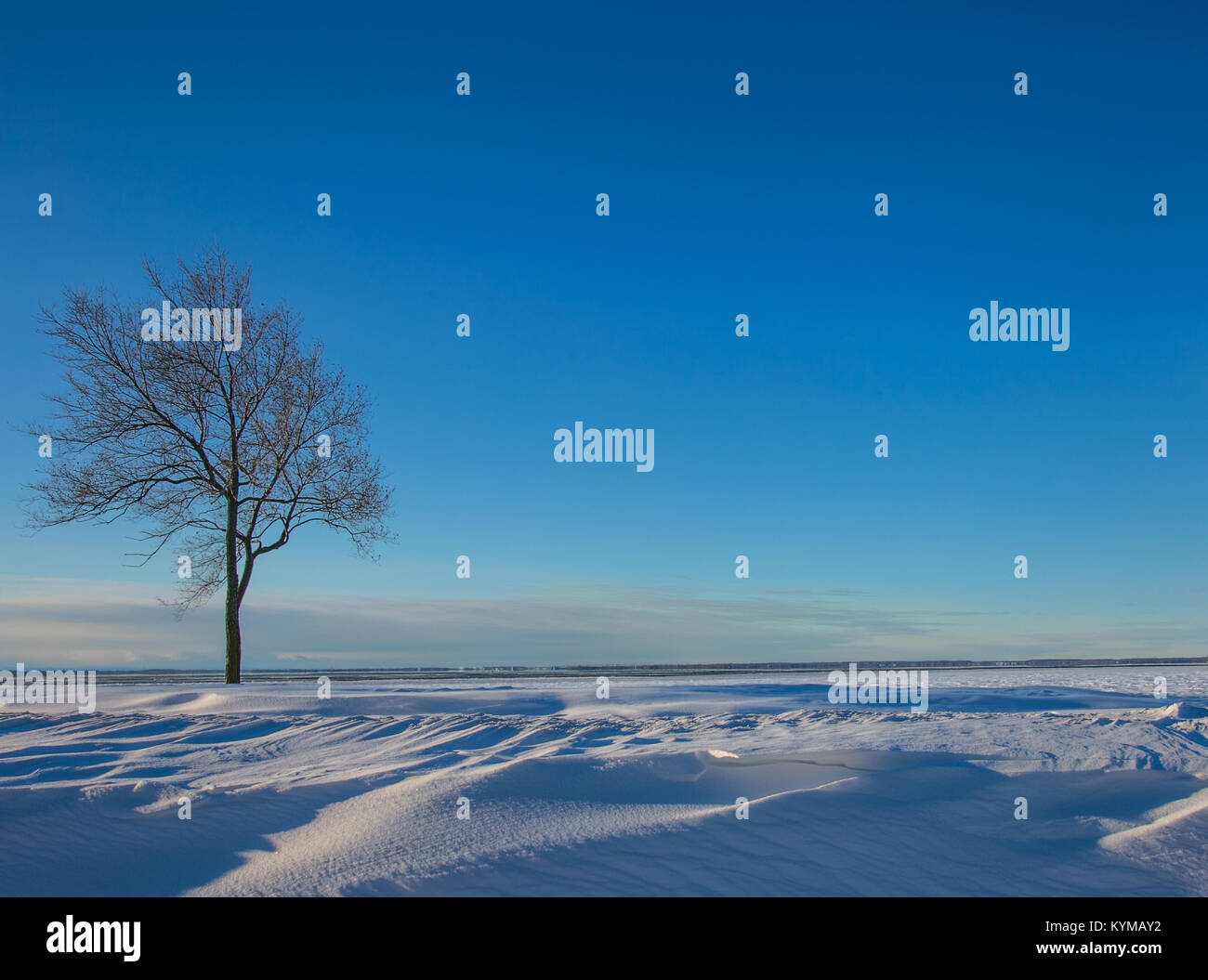 beautiful winter landscape with tree and river Stock Photo - Alamy