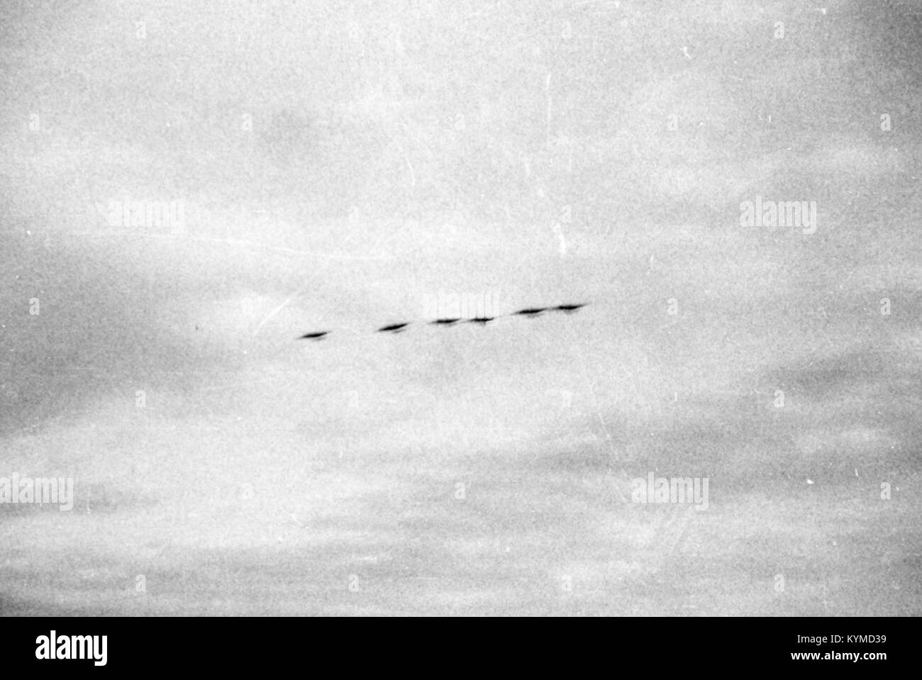 Photograph of the 483rd Bomb Group, documenting their role during World ...