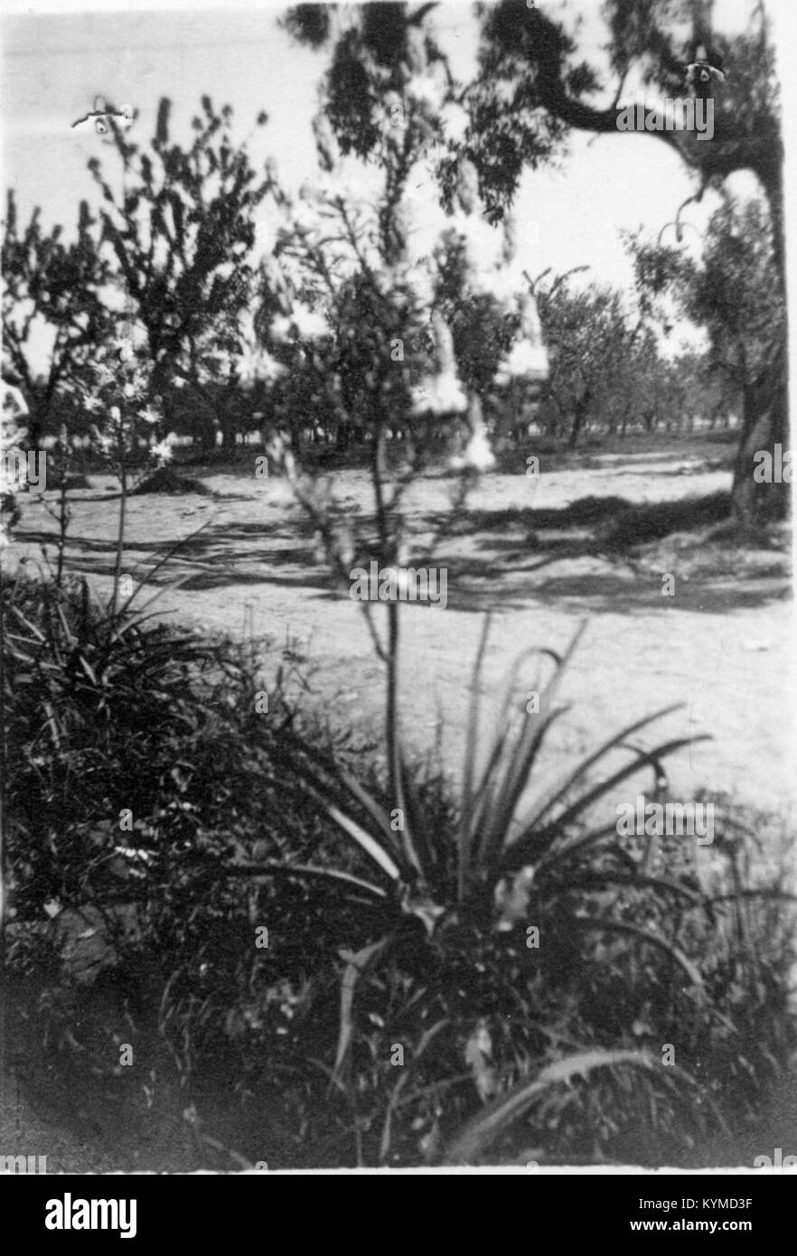 Photograph from the Melching collection, showing members of the 483rd ...